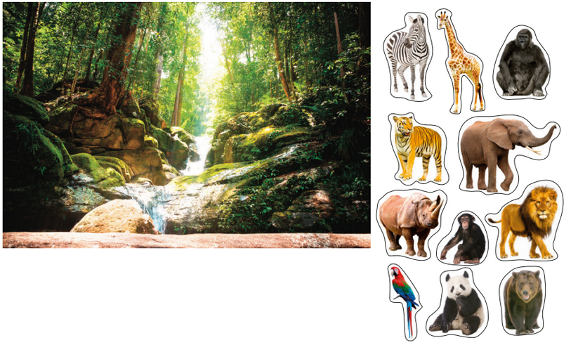 RJ110. Escenario y Animales de la Selva Imantados – didacticoschile